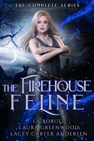 the firehouse feline the complete series by L.A. Boruff, Laura ...